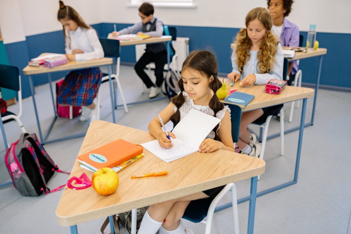 Transformando Fundamentos: La Evolución de la Educación Primaria – REDEM